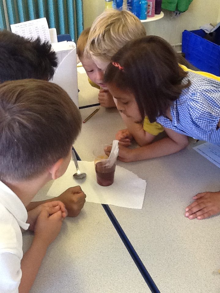 Year 2 Absorption Experiment Sherington Primary School