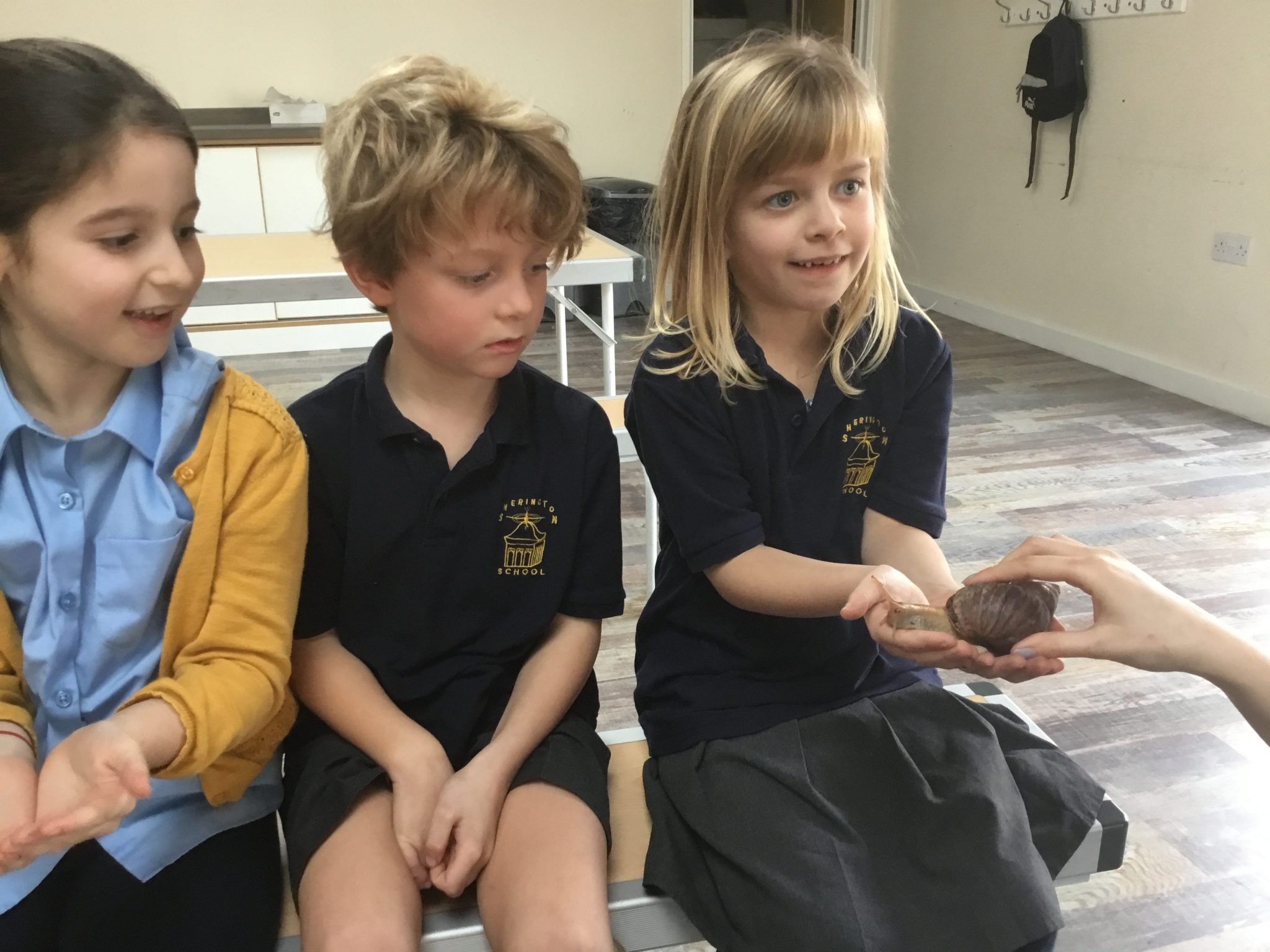 Zoolab Visit - Sherington Primary School