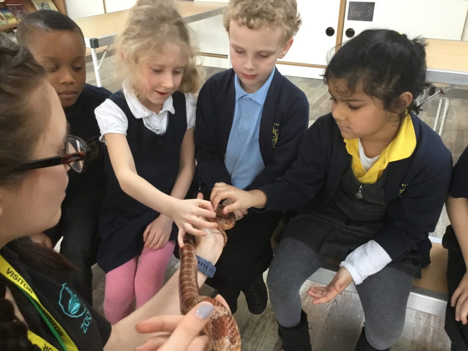 Zoolab Visit - Sherington Primary School
