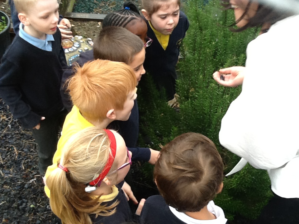 Billy's Beetle - Sherington Primary School