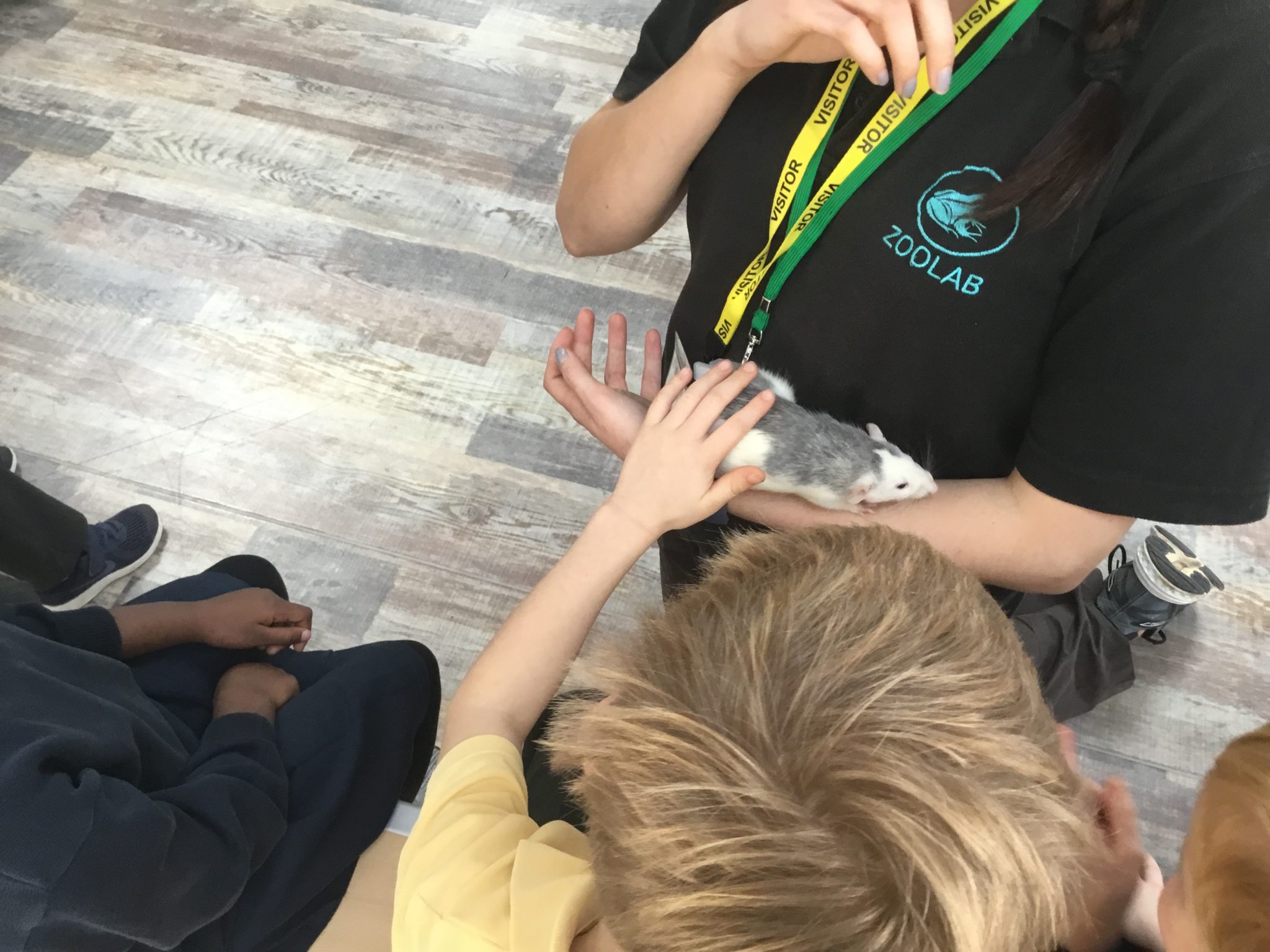 Zoolab Visit - Sherington Primary School