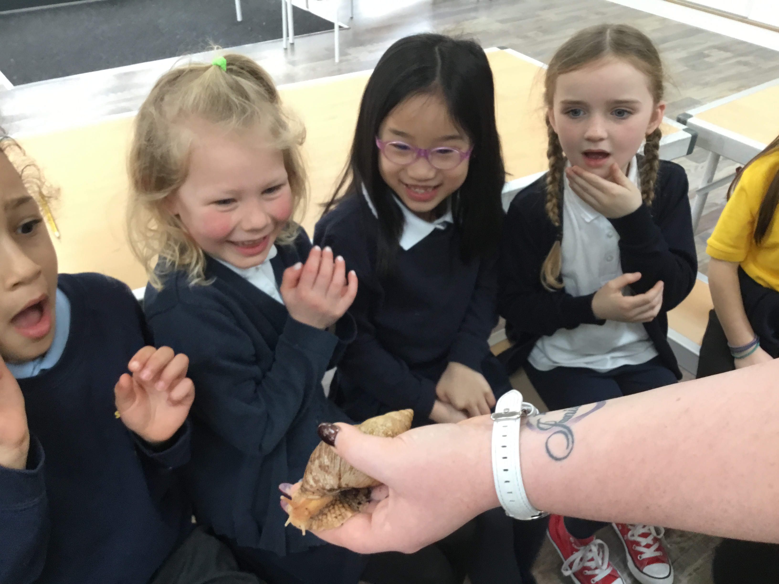 Year 2 Visit from Zoolab - Sherington Primary School