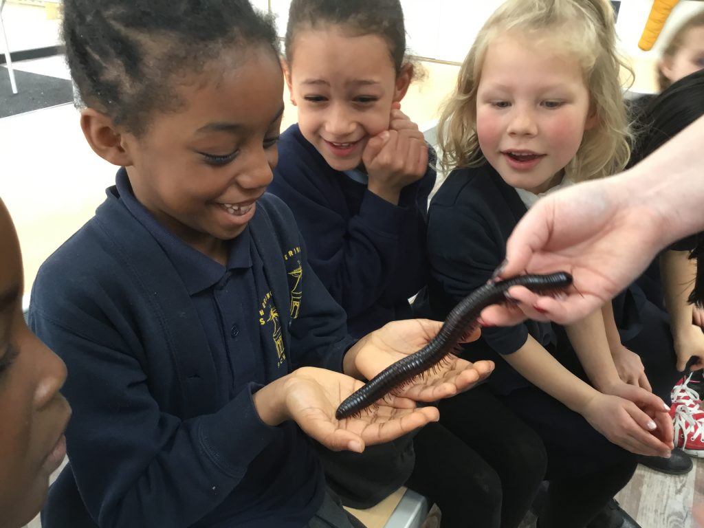 Year 2 Visit from Zoolab - Sherington Primary School