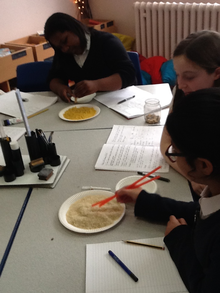 Bird Beak & Seeds Investigation - Sherington Primary School